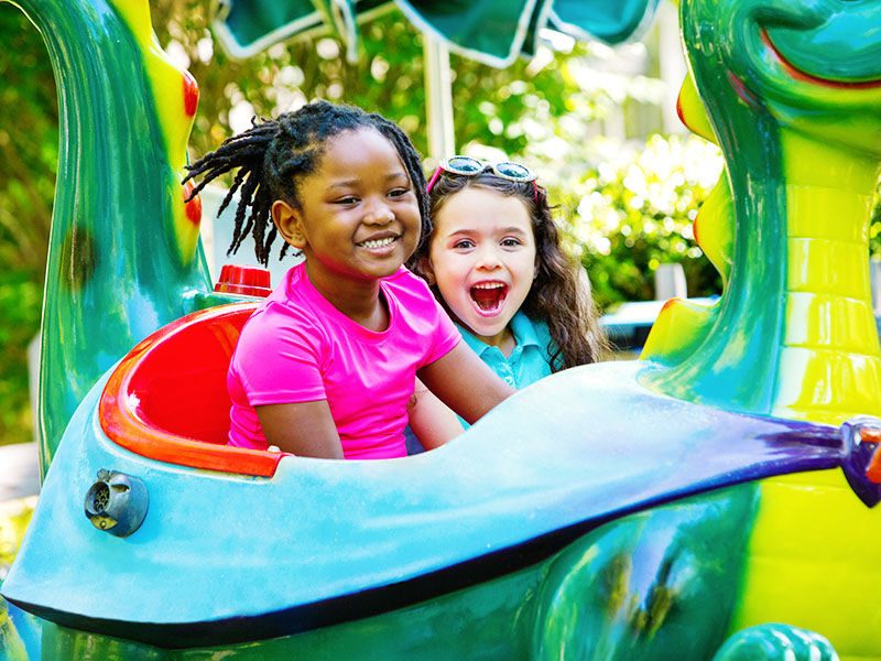 Dino-Soars Ride | Idlewild & SoakZone Park Ride Attraction